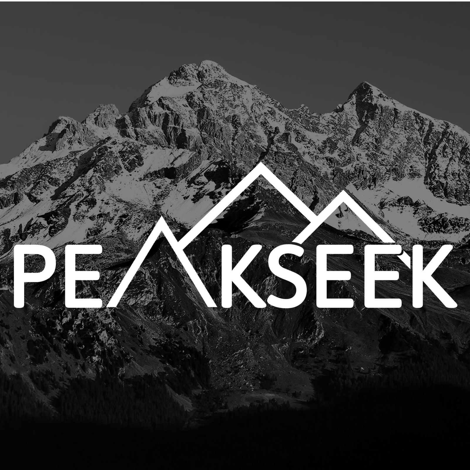 About PeakSeek